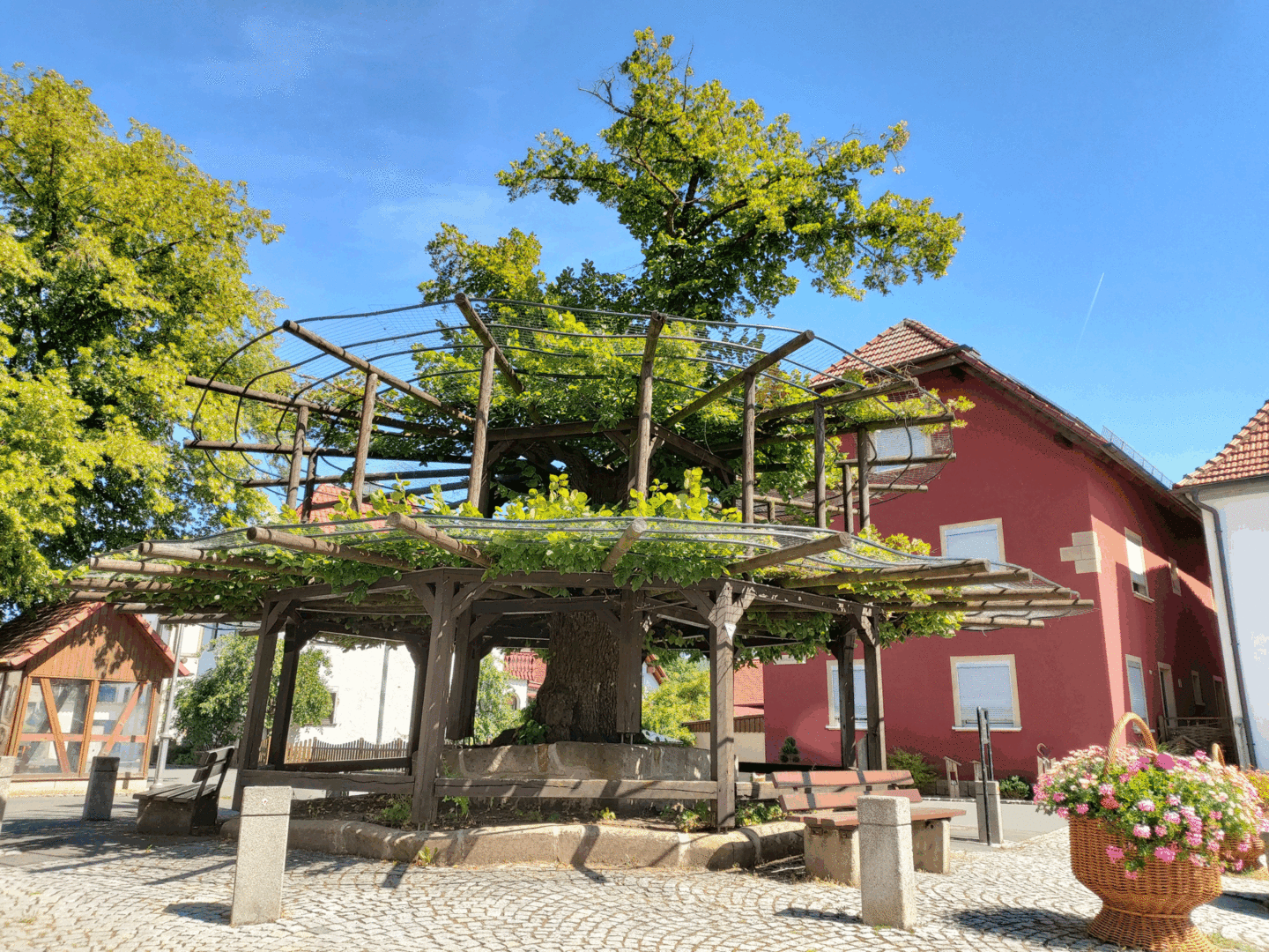 Baum der Bayern - Sehenswert - Lichtenfels entdecken - Kultur ...